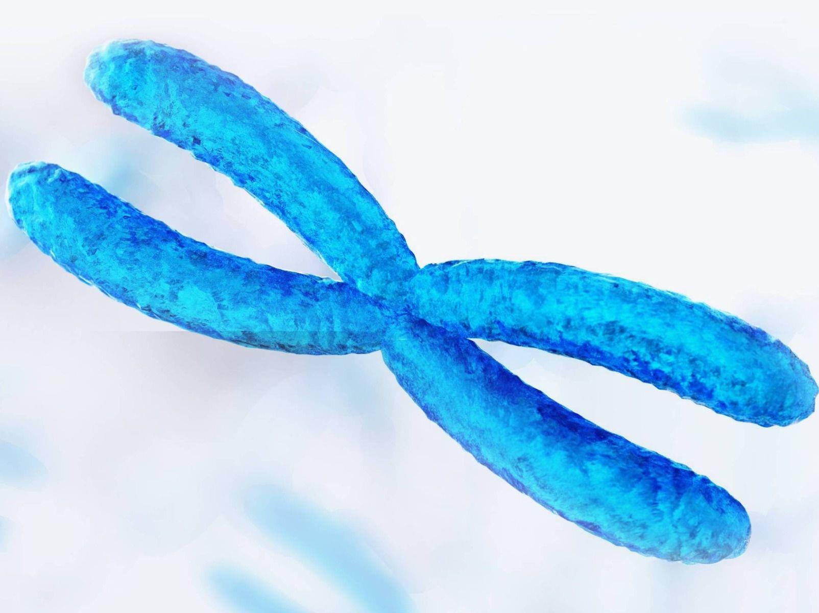 Chromosomal MicroArray Test (CMA Test) in India