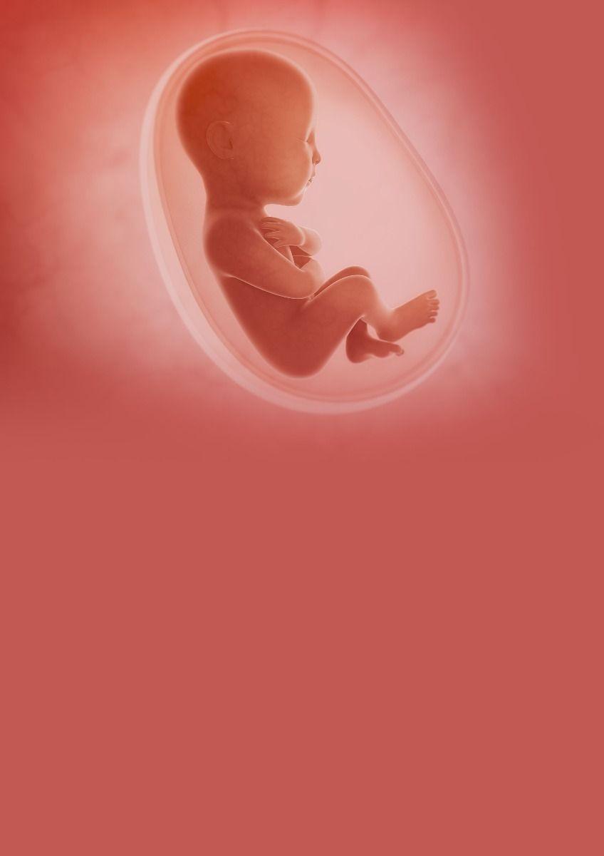Fetal Autopsy Test in India: Procedure, Cost, Quick Reports