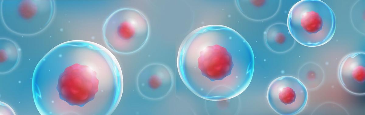 What Are Stem Cells? - Types & Uses of Stem Cells