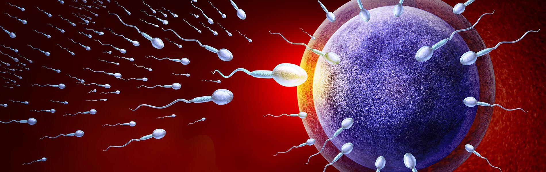 Normal Sperm Count: Symptoms, Causes and Semen Analysis