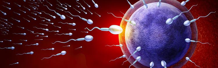 Normal Sperm Count: Symptoms, Causes and Semen Analysis