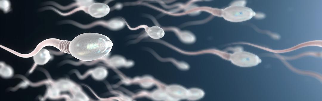 Normal Sperm Count: Symptoms, Causes and Semen Analysis