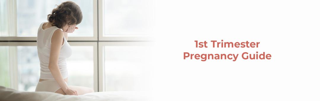 1st Trimester Pregnancy Guide (Symptoms, Tests & Tips)