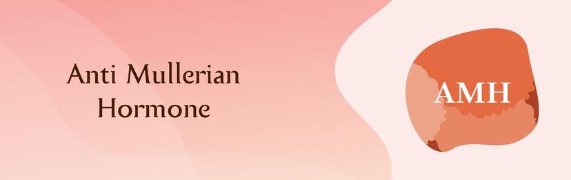 What is Prolactin? Prolactin Blood Test (PRL) Levels, Normal Range and ...