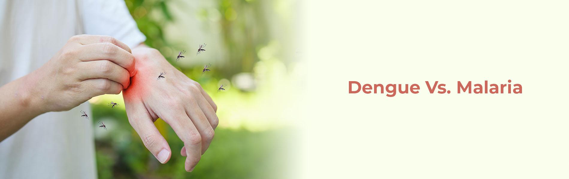 Dengue vs Malaria: Key Differences in Symptoms & Treatment