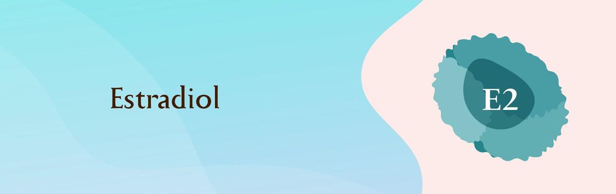 What is Estradiol? Know Estradiol (E2) Levels Test, Uses, Test Results ...