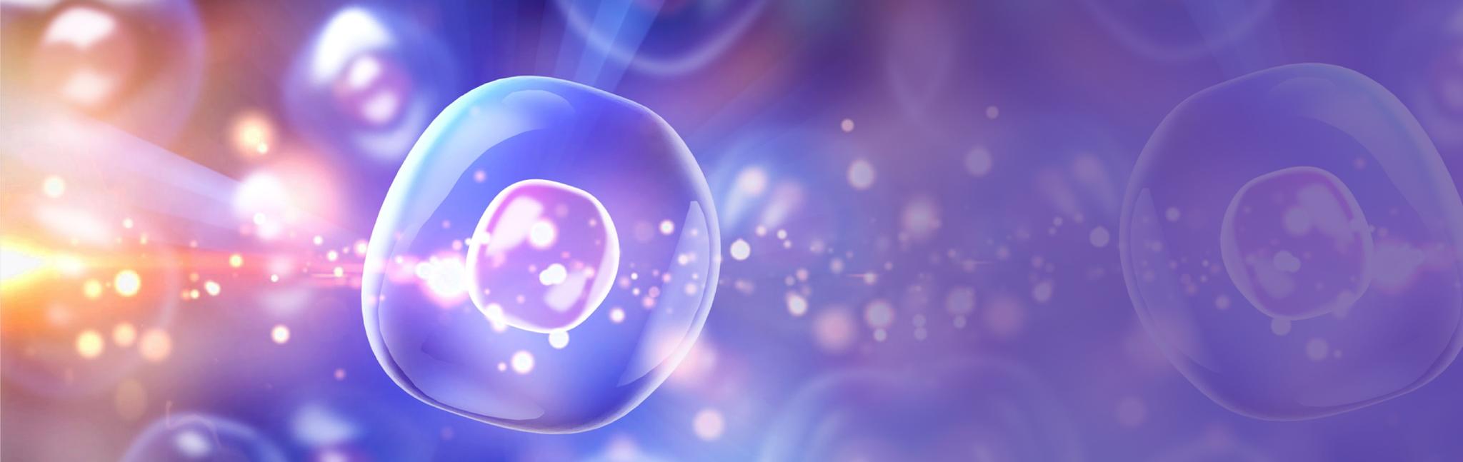 What is Stem Cell Banking? Know Significance of Stem Cell Preservation