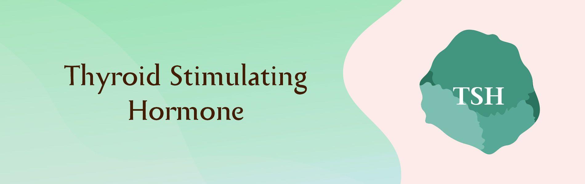 Thyroid-Stimulating Hormone : TSH Levels Test, Normal Range and Results