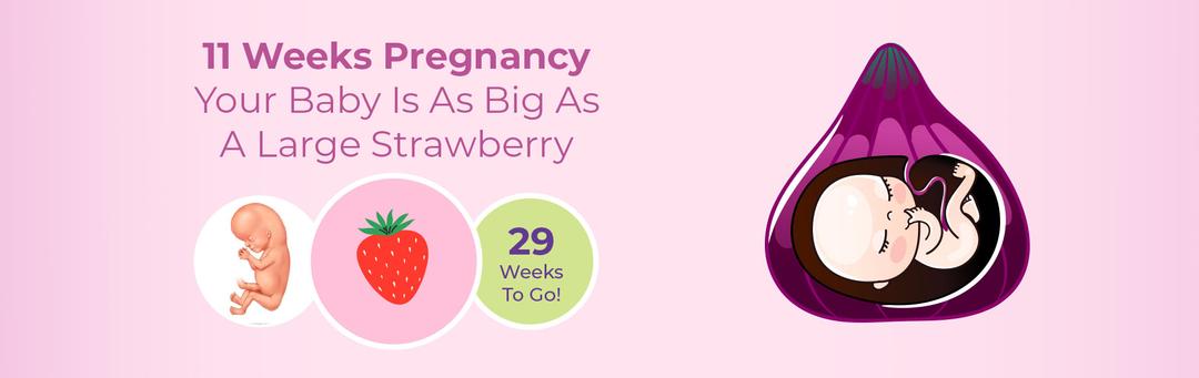 11 Weeks Pregnant Symptoms, Belly, Baby Size, Foods to Eat and Tips