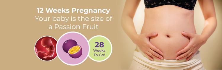 12 Weeks Pregnant Symptoms, Belly, Baby Size, Foods to Eat and Tips
