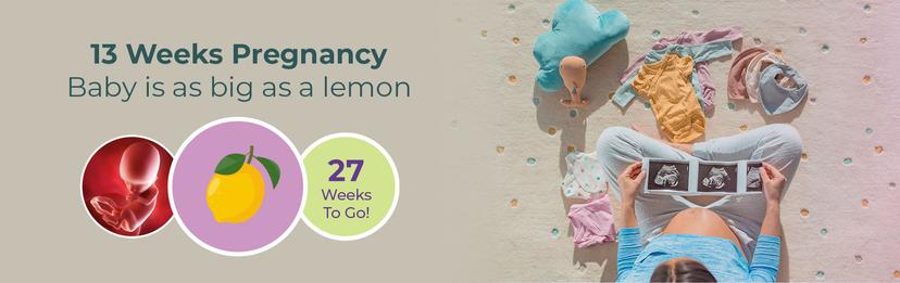 13 Weeks Pregnant Symptoms, Belly, Baby Size, Foods to Eat and Tips