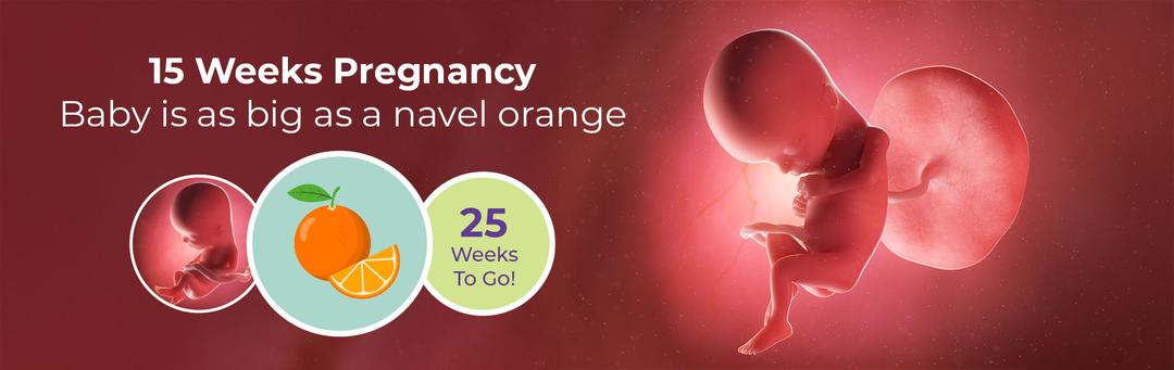 15 Weeks Pregnant Symptoms, Baby Development, Foods to Eat and Tips