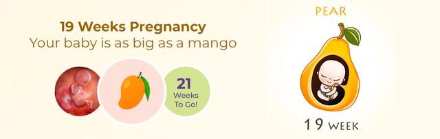 19 Weeks Pregnant Symptoms, Belly Size, Baby Growth, Foods to Eat and Tips