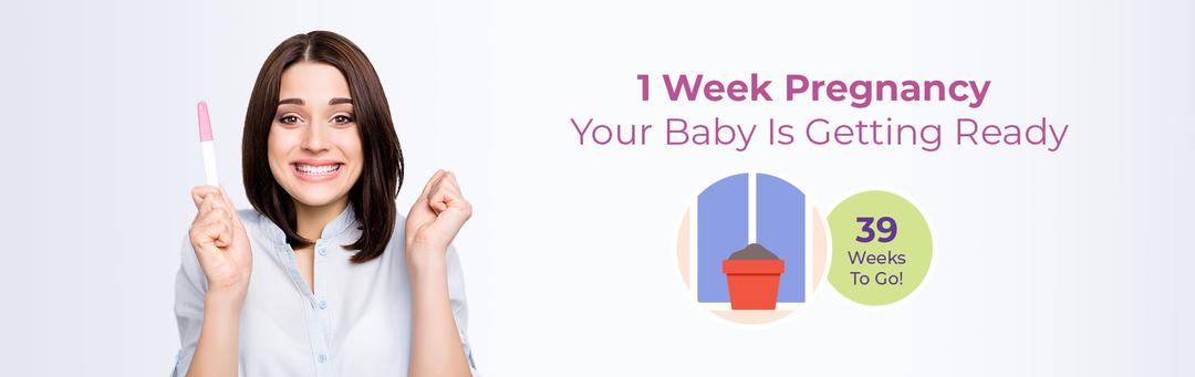 First Week Of Pregnancy : What To Expect