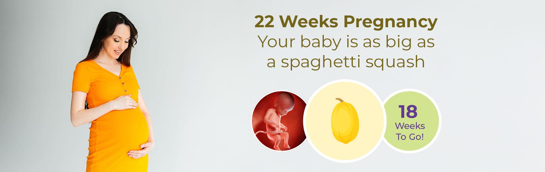 22 Weeks Pregnant: Symptoms, Baby Size & Your Growing Bump