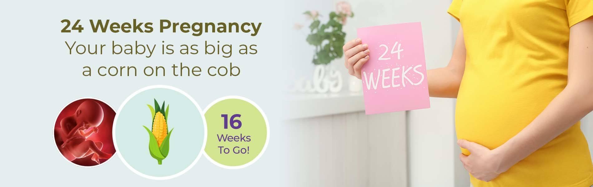 24 Weeks Pregnant: What to Expect at Six Months?