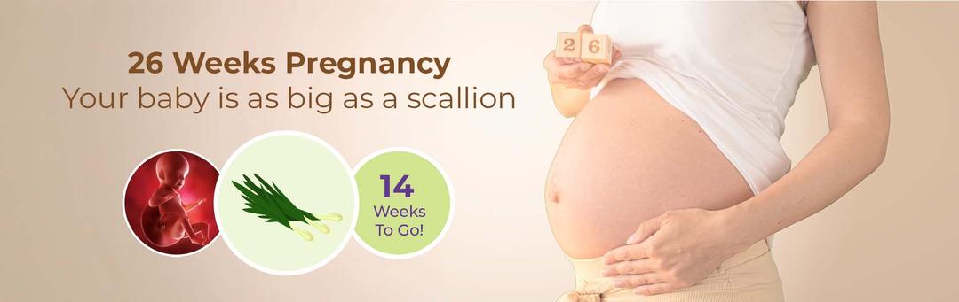 26 Weeks Pregnant: Milestones, Symptoms & Baby Size