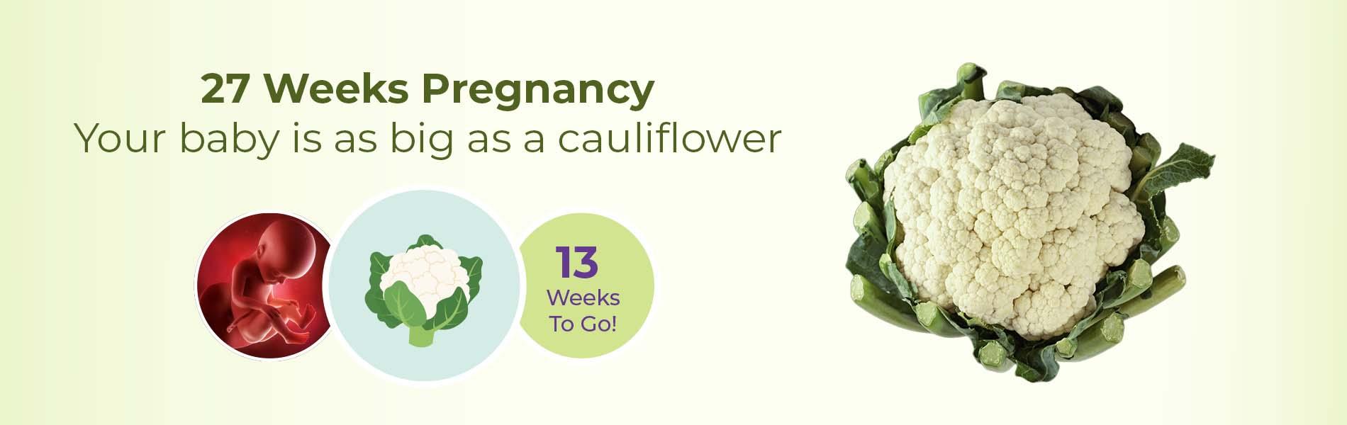 27 Weeks Pregnant: Baby Update & Tips