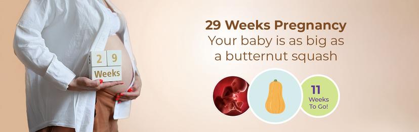 29 Weeks Pregnant: What to Expect, Symptoms, and Tips