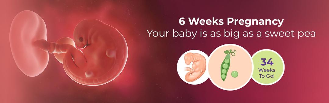 6 Weeks Pregnant Symptoms, Baby Development, Foods to Eat and Tips