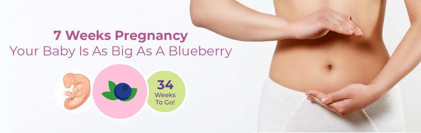 7 Weeks Pregnant Symptoms, Baby Development, Foods to Eat and Tips