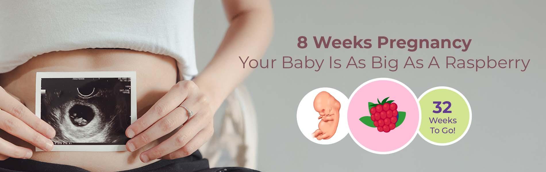 8 Weeks Pregnant Symptoms, Baby Development, Foods to Eat and Tips