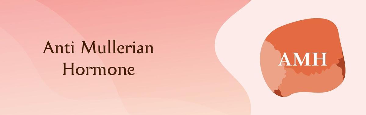 All About Anti Mullerian Hormone - Know AMH Test, Purpose and Levels