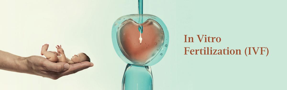 In Vitro Fertilization (IVF) Process, Cost, Risks, Advantages and ...