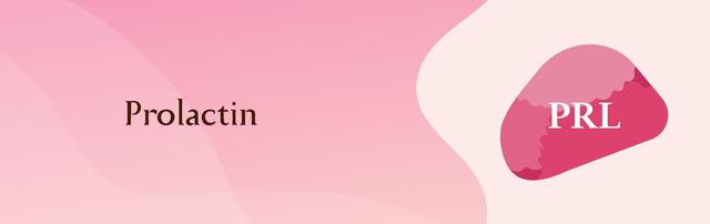 What is Prolactin? Prolactin Blood Test (PRL) Levels, Normal Range and ...