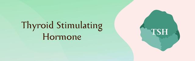Thyroid-Stimulating Hormone : TSH Levels Test, Normal Range and Results