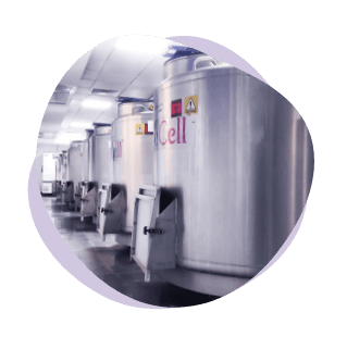 Contact Us | LifeCell